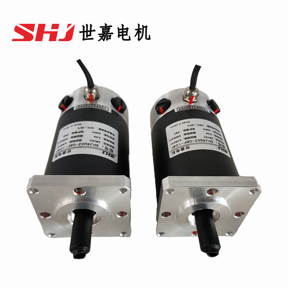 48VDC 300W 世嘉GJB直流有刷伺服电机 - 世嘉电机