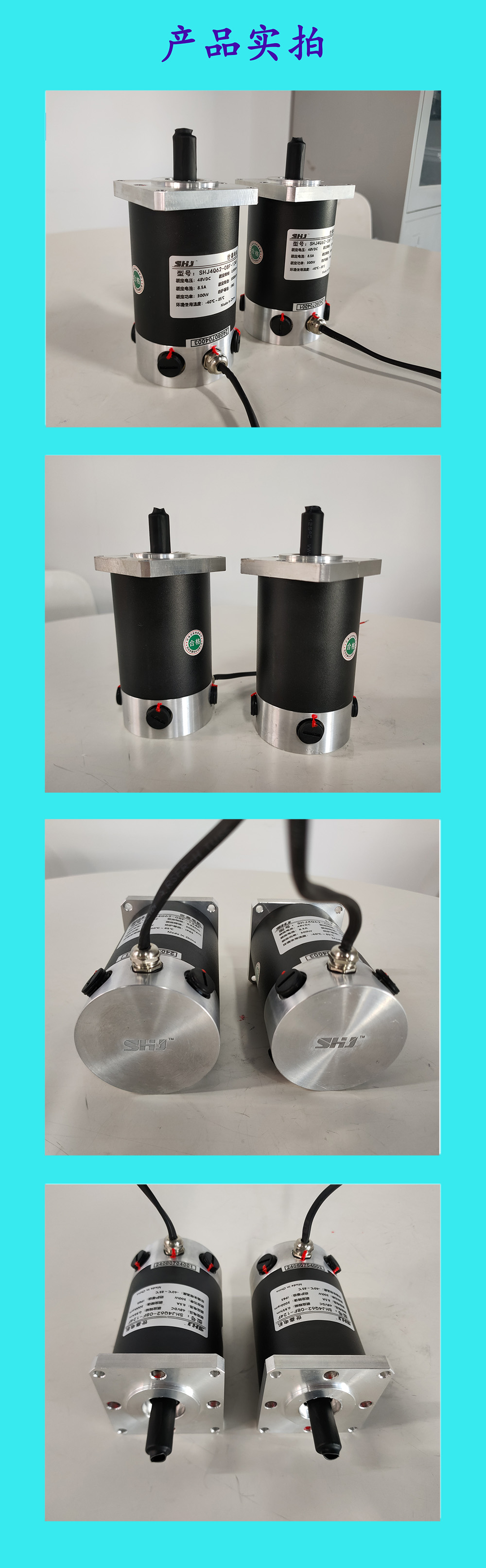 48VDC 300W 世嘉GJB直流有刷伺服电机 - 世嘉电机